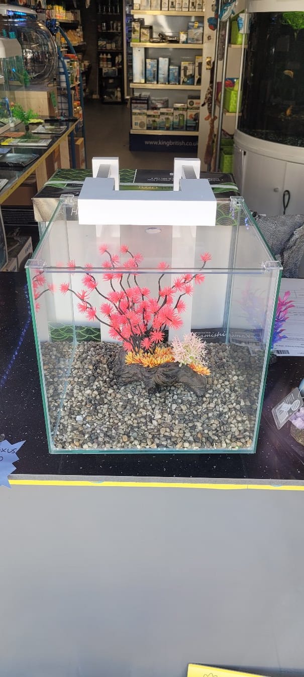 Fish Around