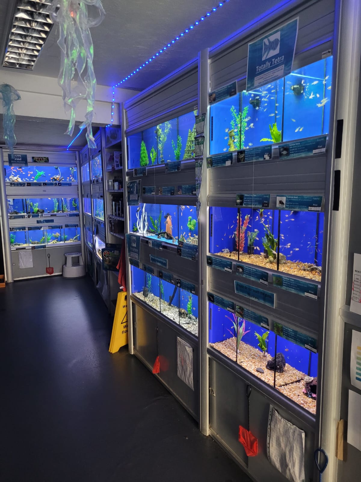 Fish Around