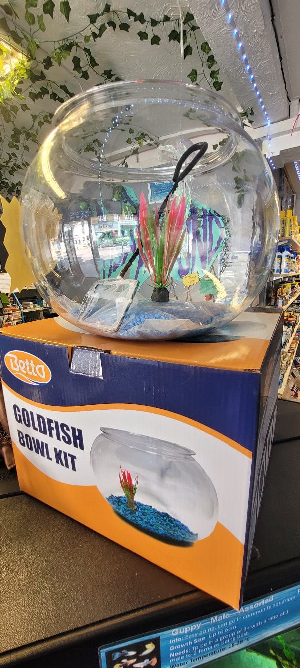 Fish Around