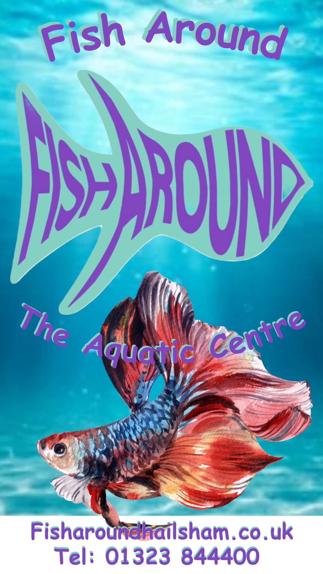 Fish Around