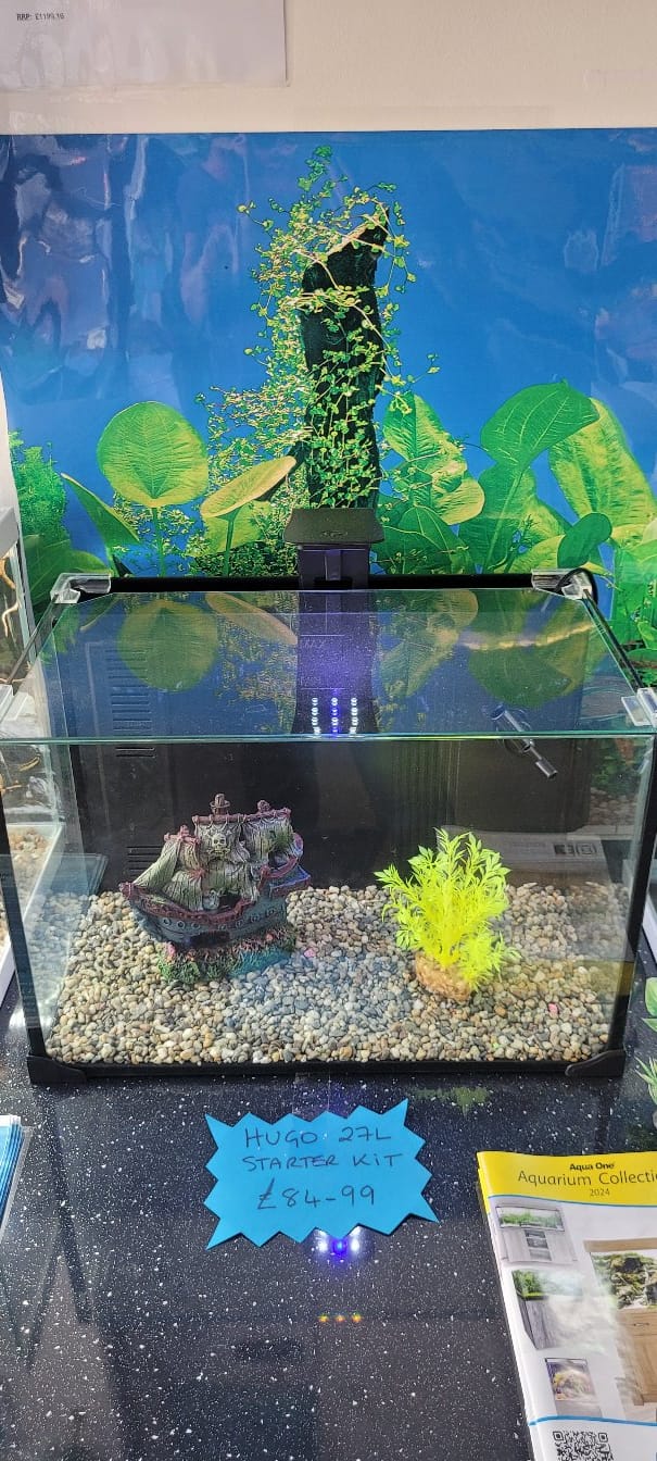 Fish Around